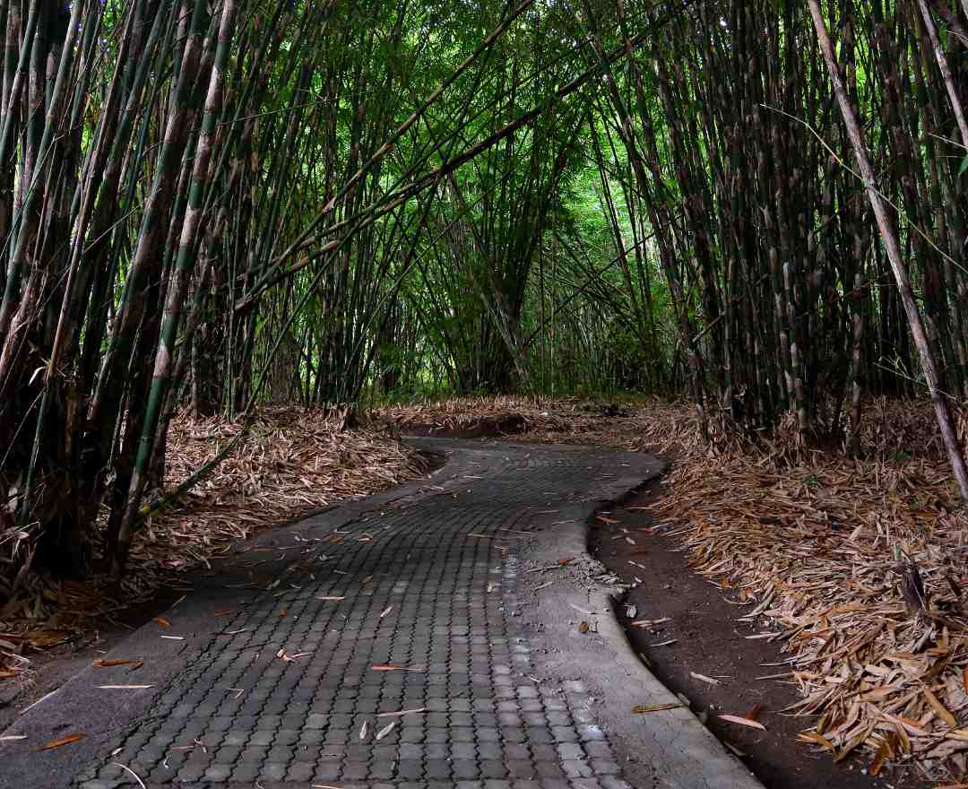 Gate Of Heaven - Bali East Tour - Explore Penida