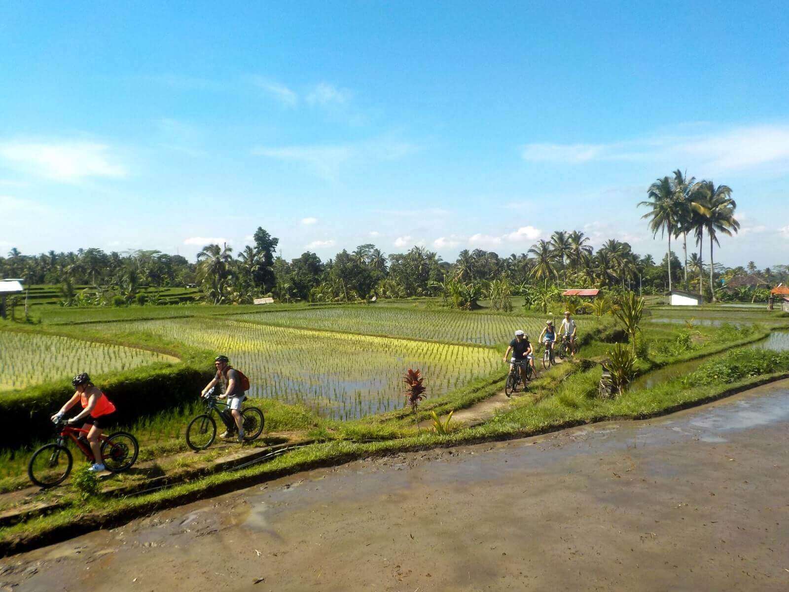 Ubud E-bike Cycling Tours - Bali Cycling Tours